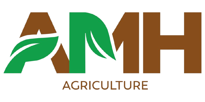 AMHZ - GROUP